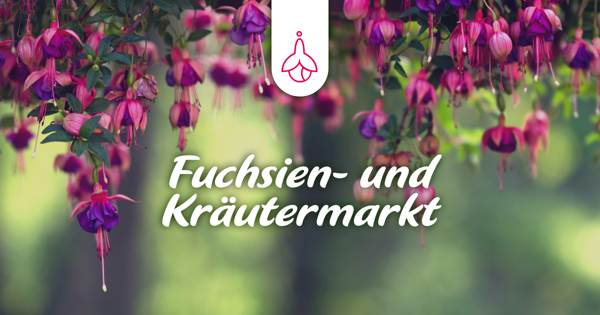 Fuchsien- und Kräutermarkt Wemding